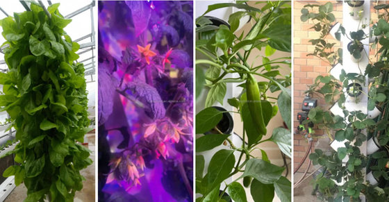 Customizable Hydroponics Tower Vertical Aeroponic Growing System Kit for Home Garden Greenhouse to Plant  Vegetables