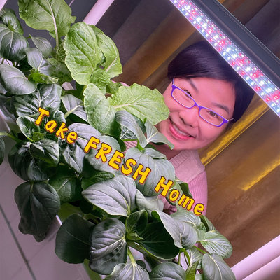 Home Indoor Led Light NFT Hydroponics System Grow Kit 3 Layer 42 Pod White Vertical Garden Planter for vegetables