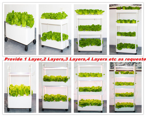 4 Layers 56 Holes Vertical Complete Commercial Hydroponics Growing system home with LED Light