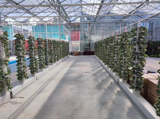 Customizable Indoor and Outdoor NFT Hydroponic Growing System Kit Vertical Aeroponic Tower Greenhouse Farm for Vegetable