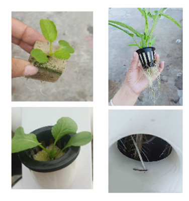 Customizable Indoor and Outdoor NFT Hydroponic Growing System Kit Vertical Aeroponic Tower Greenhouse Farm for Vegetable