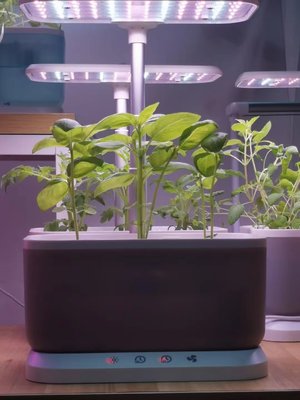 Indoor Smart Garden Home 6 Pods Small Herb Plant Flower Pot Adjustable Led Light Mini Hydroponic Growing System Kit