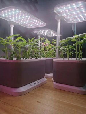 Indoor Smart Garden Home 6 Pods Small Herb Plant Flower Pot Adjustable Led Light Mini Hydroponic Growing System Kit