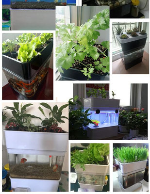 Home Mini Hydroponics Aquaponics Plant Growing Systems with Fish Tank
