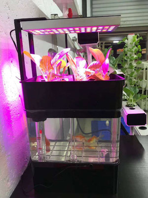 Indoor Commercial complete Mini Hydroponics Aquaponics planting Systems with Led Growing Light