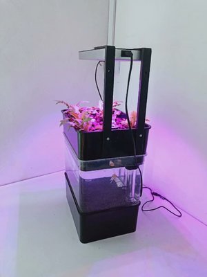 Indoor Commercial complete Mini Hydroponics Aquaponics planting Systems with Led Growing Light