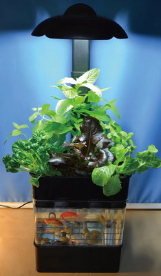 Indoor Commercial complete Mini Hydroponics Aquaponics planting Systems with Led Growing Light