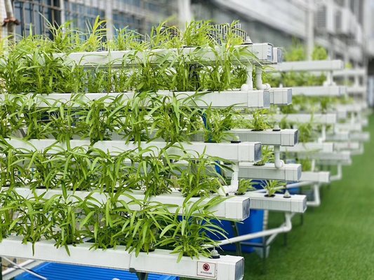 2M length Commercial A Types Vertical NFT Hydroponic Growing System Equipment for Vegetables and Fruits