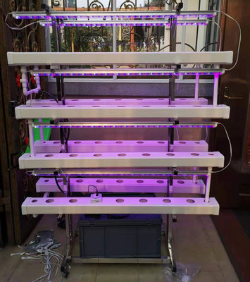 Indoor Customizable Multi-Layer NFT Square Channel Led Grow Light Hydroponic Growing System to Grow Lettuce Strawberry