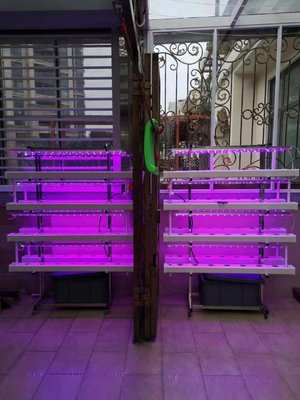 Indoor Customizable Multi-Layer NFT Square Channel Led Grow Light Hydroponic Growing System to Grow Lettuce Strawberry