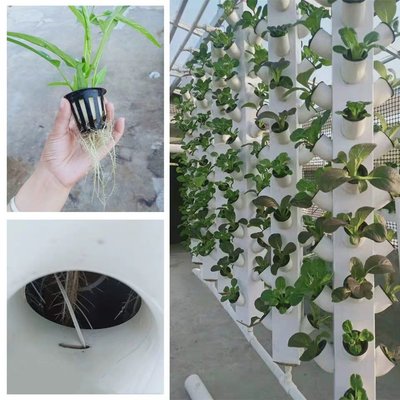 Customizable Vertical Hydroponic Growing System Single Aeroponic Tower Pipe 3M Length for Greenhouse