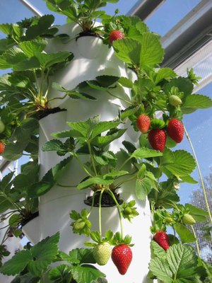 Greenhouse Vertical Hydroponic Growing System 15 Layers 90 Planting Holes  Hang Type Single Aeroponic Tower for Farming