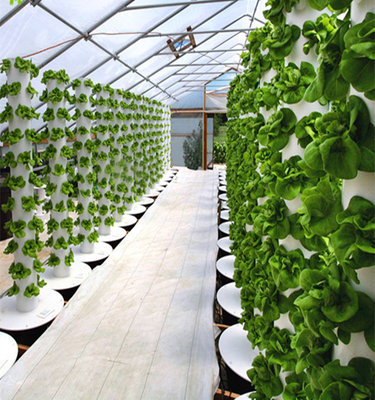 6 Layers 36 Planting Holes Indoor Hydroponic Aeroponic Tower Growing System Kits