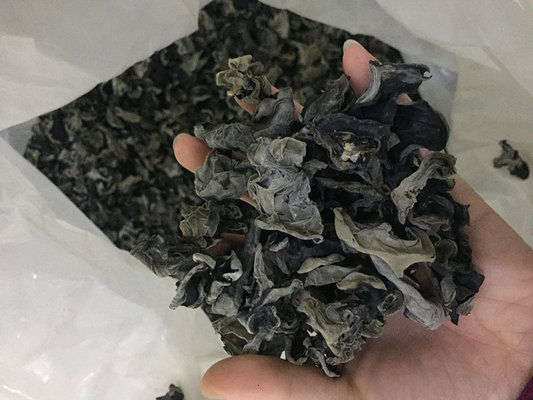 Factory Price Dried Black Fungus to Europe (Size:2.5CM above)