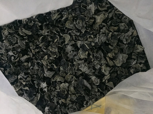Factory Price Dried Black Fungus to Europe (Size:2.5CM above)