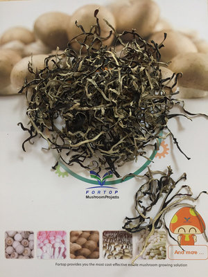 Factory Price Dried White Back Black Fungus Slices AA Grade  with Natural Length