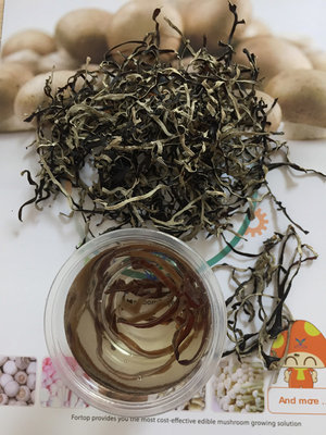Factory Price Dried White Back Black Fungus Slices AA Grade  with Natural Length