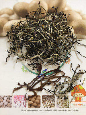 Factory Price Dried White Back Black Fungus Slices AA Grade  with Natural Length