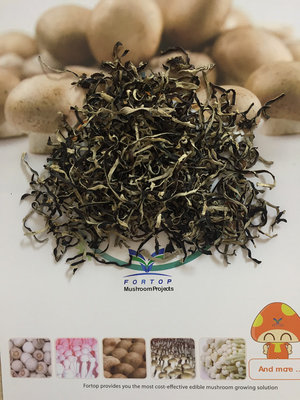 Factory Price Dried White Back Black Fungus Mushroom Short Slices (1-5CM Length)