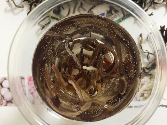 Factory Price Dried White Back Black Fungus Mushroom Short Slices (1-5CM Length)