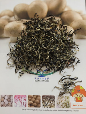 Factory Price Dried White Back Black Fungus Mushroom Short Slices (1-5CM Length)