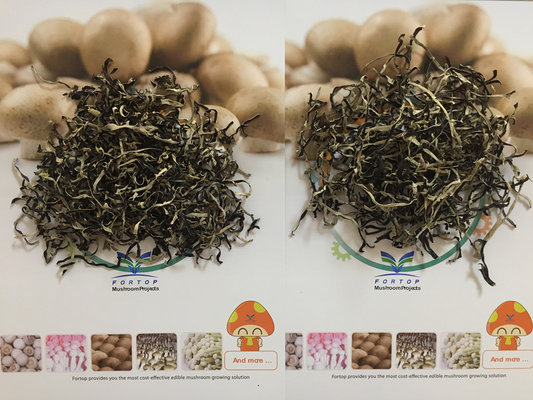 Factory Price Two Kinds of Dried White Back Black Fungus Mushroom Slices