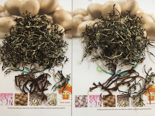 Factory Price Two Kinds of Dried White Back Black Fungus Mushroom Slices