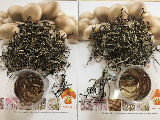 Factory Price Two Kinds of Dried White Back Black Fungus Mushroom Slices