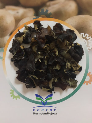Factory Price Thin Dried White Back Black Wood Ear Fungus Mushroom Cubes (Dices) A Grade