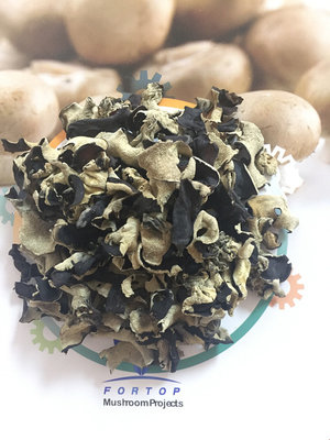 Factory Price Thick Dried White Back Black Fungus Mushroom Dice (Cubes)  AA Grade