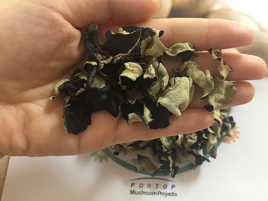 Factory Price Thick Dried White Back Black Fungus Mushroom Dice (Cubes)  AA Grade