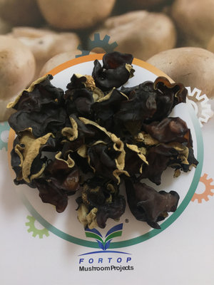 Factory Price Thin Dried White Back Black Fungus Whole (3-5CM)