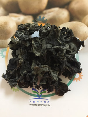 Factory Price Thin Dried Black Fungus Mushroom Whole 2.5CM above from Northeast