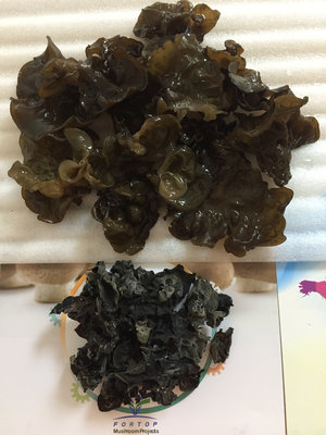 Factory Price Thin Dried Black Fungus Mushroom Whole 2.5CM above from Northeast