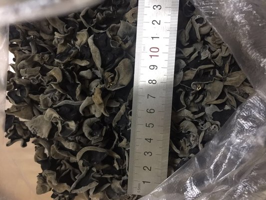 Factory Price Good Quality Thick Dried Black Fungus Mushroom Whole 2.5CM above from Northeast