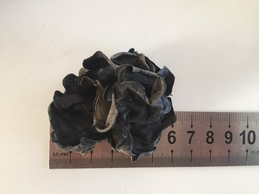 Factory Price Good Quality  Dried Flower Black Fungus Mushroom Whole