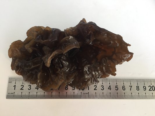 Factory Price Good Quality  Dried Flower Black Fungus Mushroom Whole