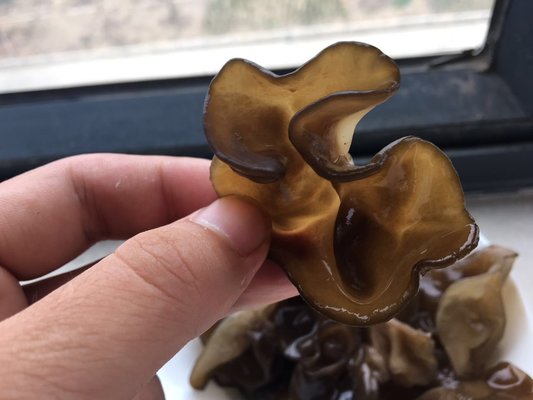 Factory Price Bulk Dried Black Fungus Mushroom Whole 1.0-1.8CM from Northeast