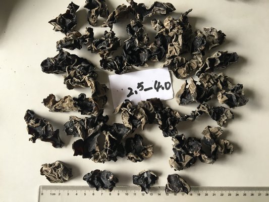 Factory Price Northeast Bulk Dried Black Fungus Mushroom Whole 2.5CM above