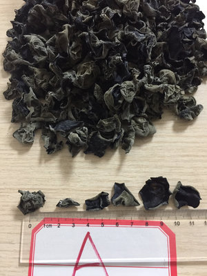 Factory Price Northeast Dried Black Wood Ear Fungus Mushroom 1.0-1.8cm for AA and A Grade