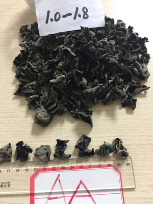 Factory Price Northeast Dried Black Wood Ear Fungus Mushroom 1.0-1.8cm for AA and A Grade
