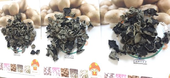 Factory Price Premium Quality AAA Grade Dried Black Fungus (Size:1.0-1.8cm,1.8-2.5cm,2.5cm above)