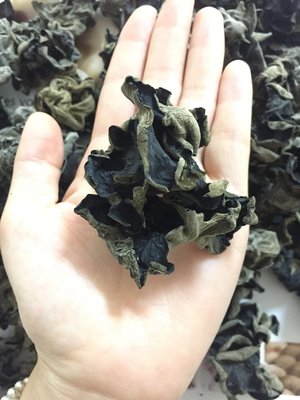 Factory Price Premium Quality Auricularia auricula / BIG Dried Black Fungus Whole Size:2.5CM above