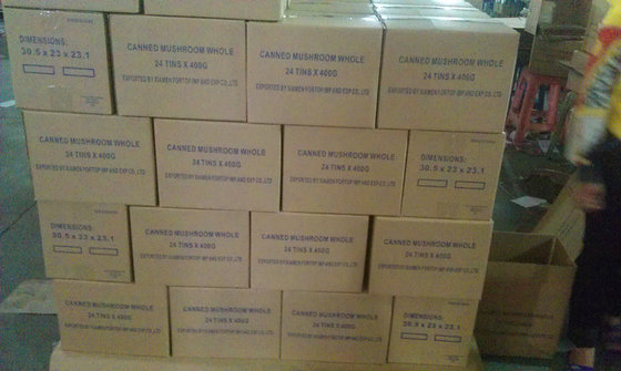 Factory Price NEW SEASON FORTOP BRAND Canned Mushroom Whole in Brine N.W.800G,D.W.400G