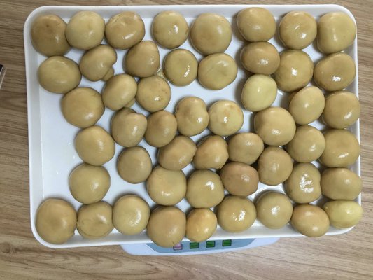 Factory Price NEW SEASON Brown Canned Champignon Mushroom Whole in Brine N.W.2840G