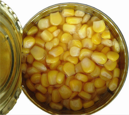 Factory Price New Season Vegetarian Tinned Yellow Sweet Corn in Brine Professional Supplier