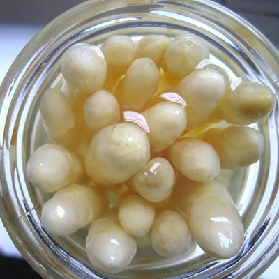 Factory Price Premium Brined White Asparagus Spear in Glass Jar