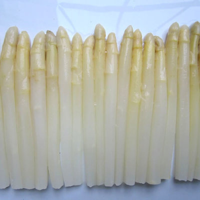 Factory Price Premium Fresh Canned White Asparagus Whole in Brine