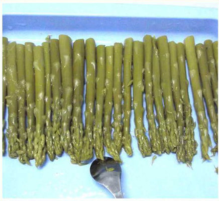 Factory Price Premium Fresh Canned Green Asparagus in Brine