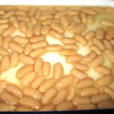 Factory Price Premium China Canned White Kidney Bean in Brine